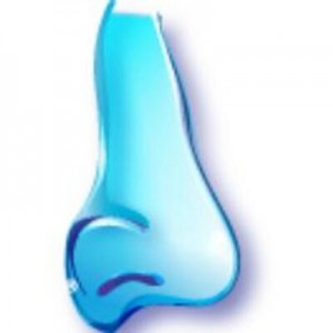 Pivot Splint | functional orthoticdesign