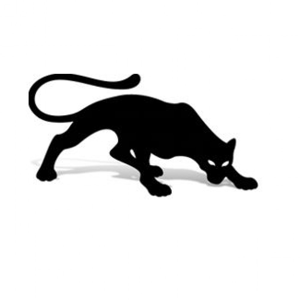 Pivot Splint | functional orthoticdesign