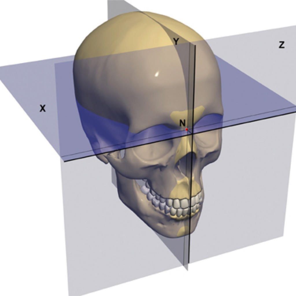 A Structural and Functional Approach | functional orthoticdesign